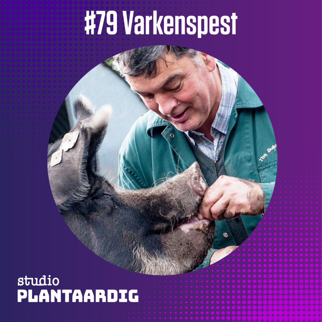 #79 Hoe dierenartsen miljoenen gezonde biggen moesten doden tijdens de ...