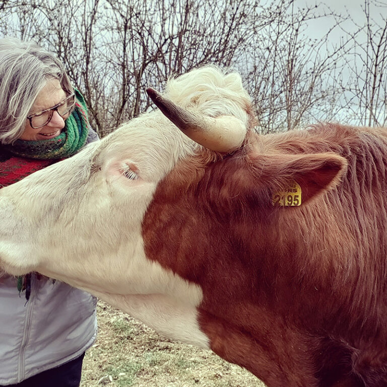 #85 Wat zegt de koe en hoe gelukkig is de kip? Over dierentaal met ...